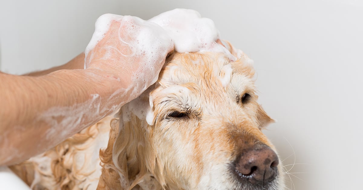 Why Does Soft Water Feel Slippery?